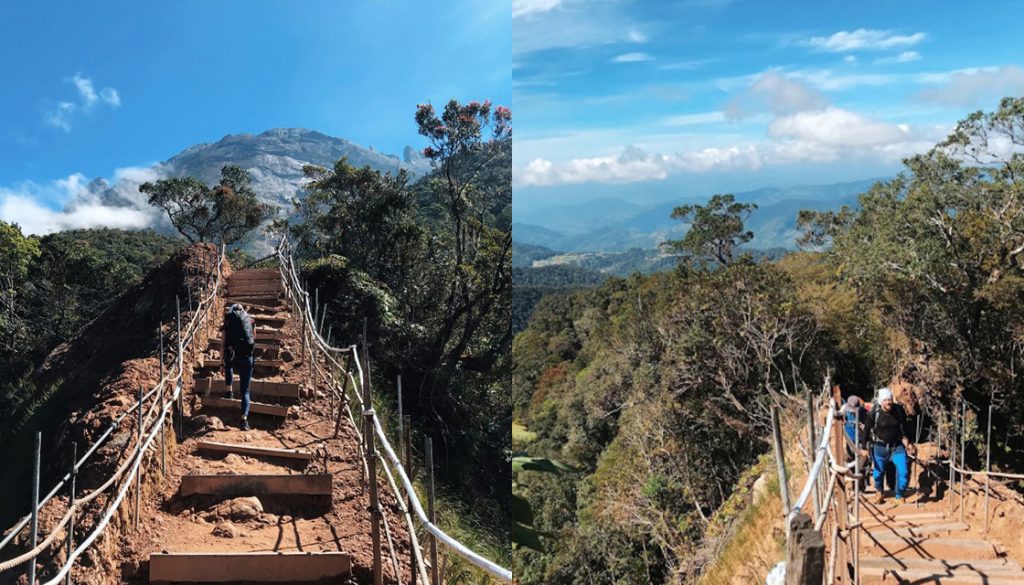 A Beginner’s Guide To Hike Mount Kinabalu - ArenaMalaysia.Asia